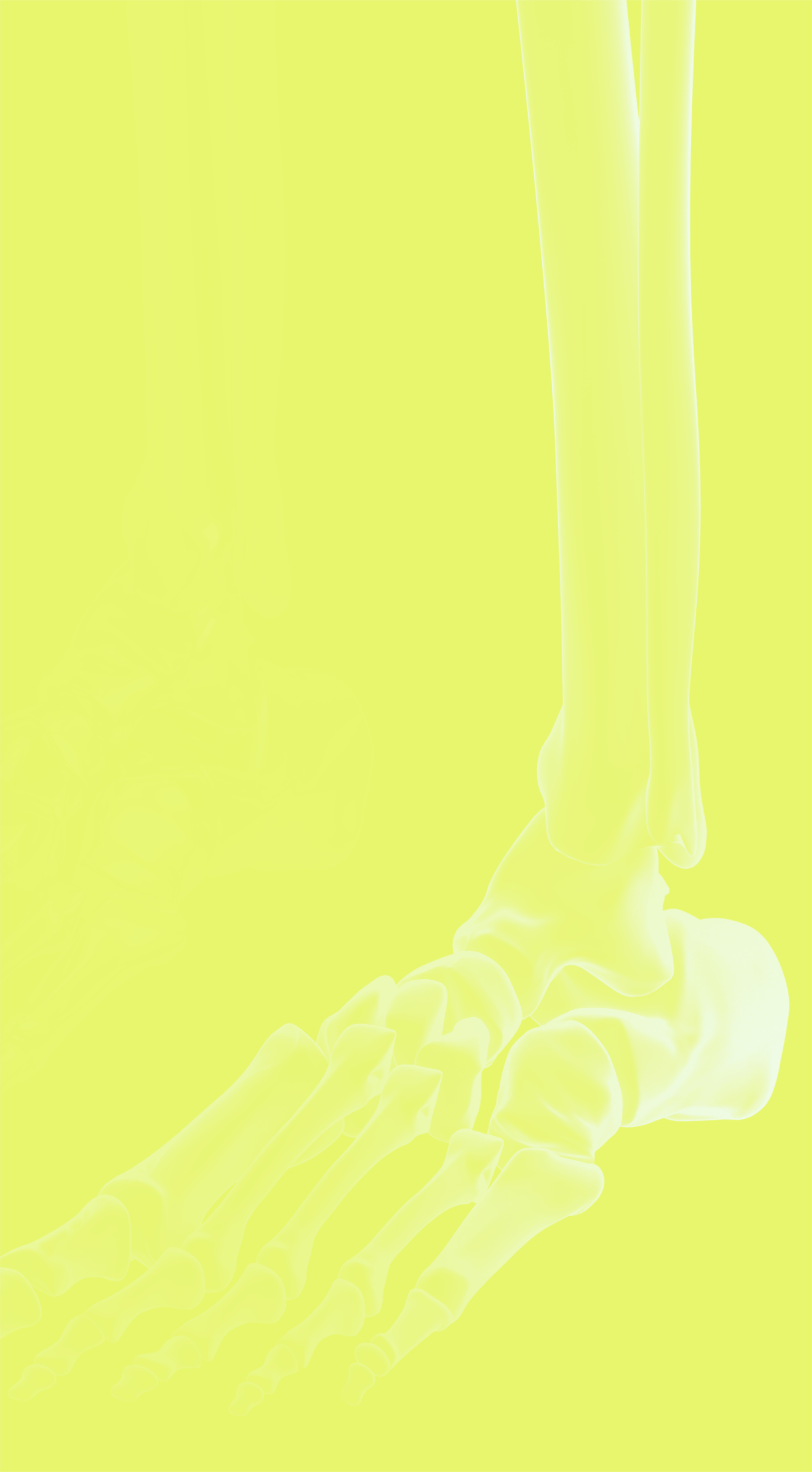 製品情報 Products Medivation